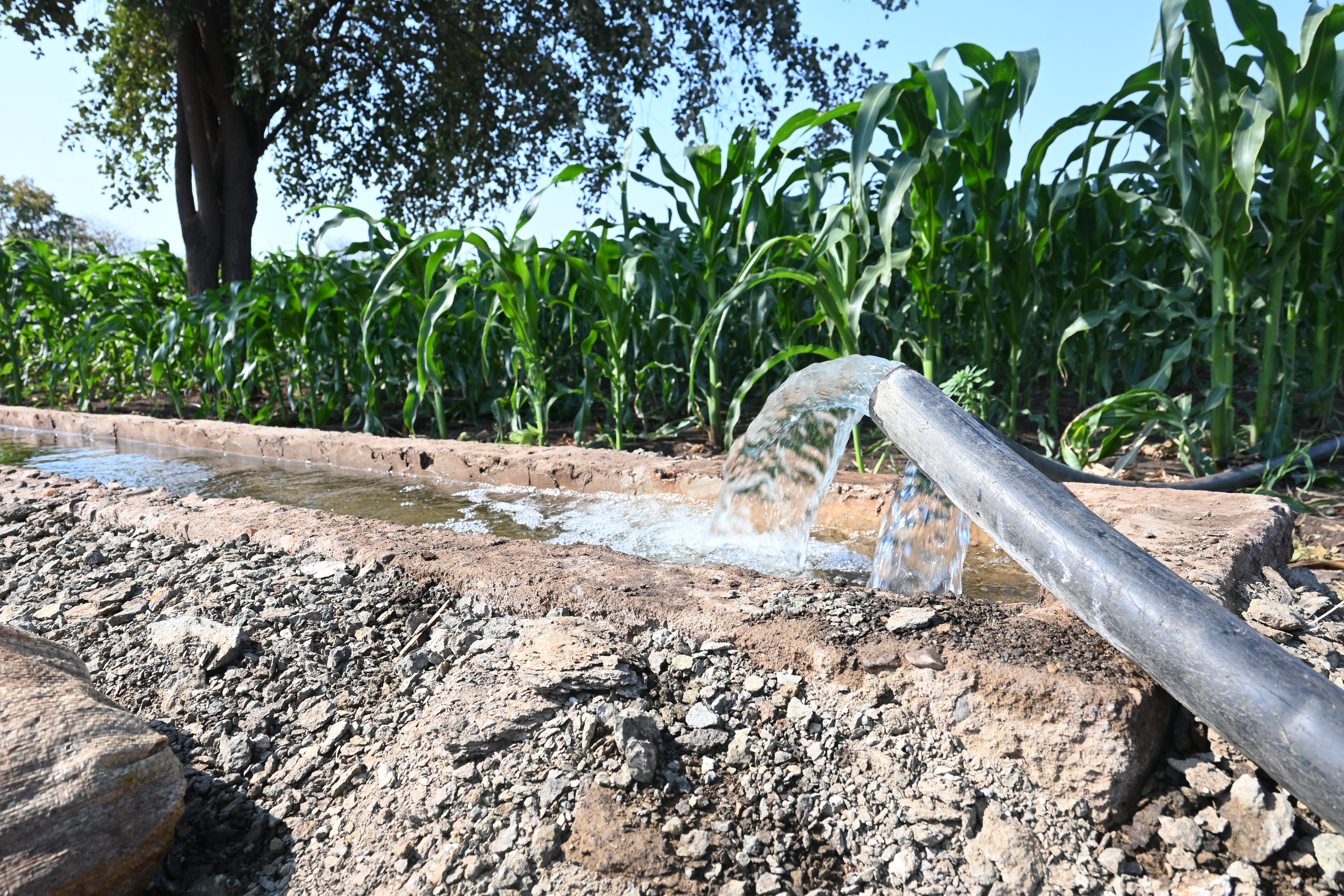 Sustainable livelihoods – LUTHERAN DEVELOPMENT SERVICES