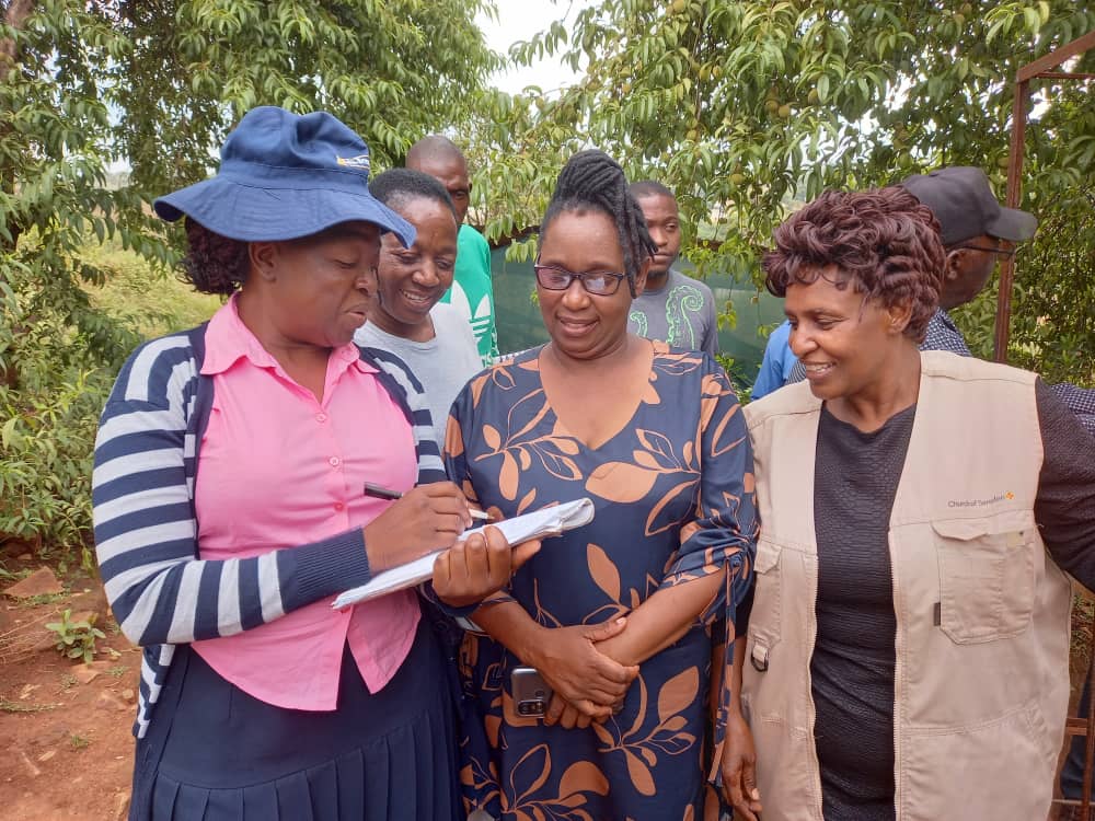 Diakonia Capacity – LUTHERAN DEVELOPMENT SERVICES