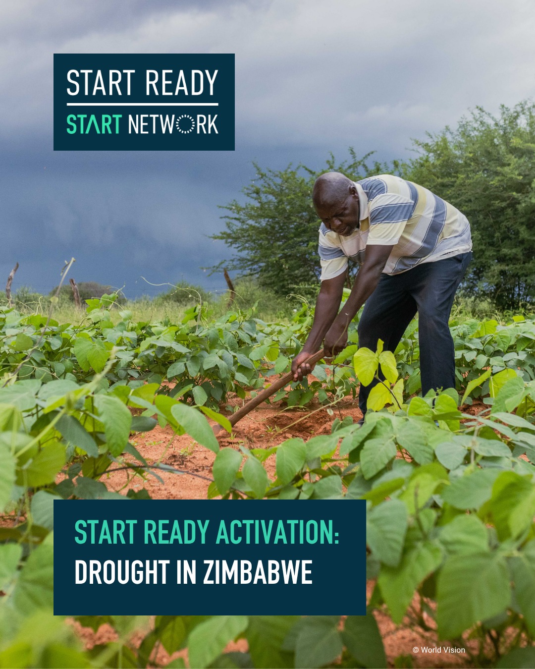 Start Ready Activation Drought In Zimbabwe Lutheran Development Services