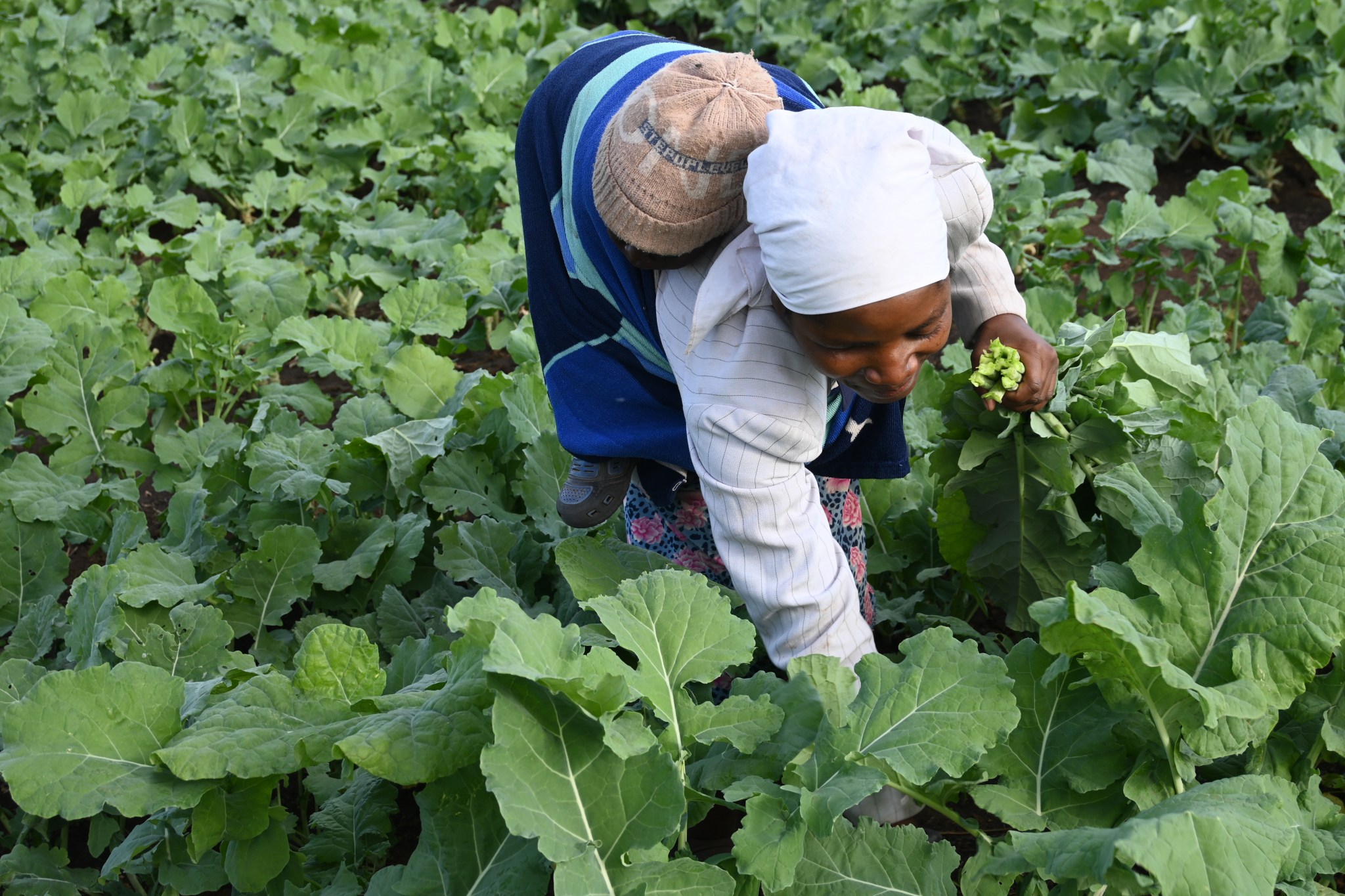 LUTHERAN DEVELOPMENT SERVICES – We’re a development and humanitarian ...